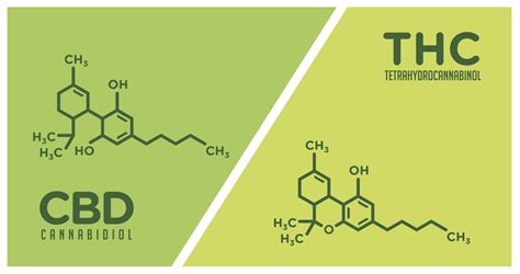 Cbd Vs Thc Cbd Is Thcs Designated Driver Flavor Fix