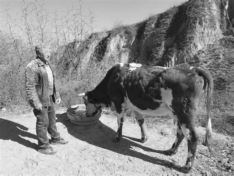 石楼县温家沟村作为移民村今年将全部脱贫摘帽 搜狐大视野 搜狐新闻