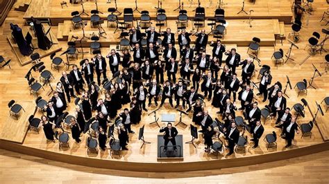 Diferencia Entre Sinfonía Y Orquesta Ejemplos E Historia