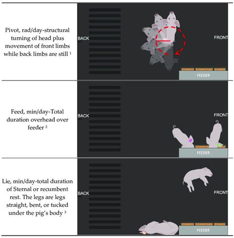 Ethogram Used By The Precision Technology Nutrack To Automatically