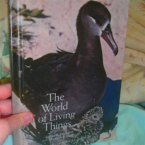 Sex Education Book Etsy