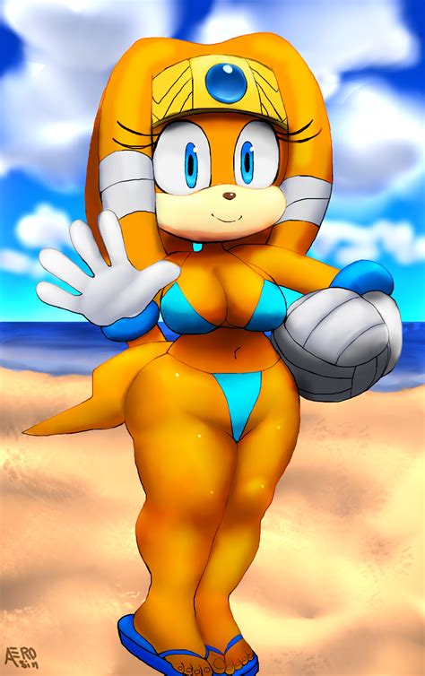 Rule 34 1girls Aerosin Bikini Female Furry Gloves Sandals Sega Sonic