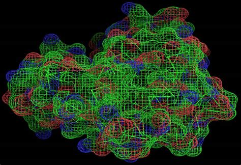 Myoglobin Esthetics Famous Proteins In Frames