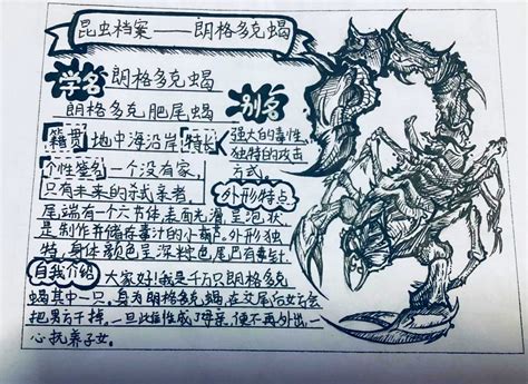朗格多克蝎子简笔画 朗格多克蝎子素描图片 朗格多克蝎子天敌 大山谷图库