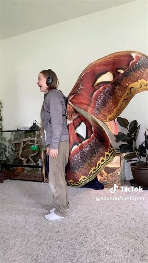 Moon Moth Wings Video Atlas Moth Cosplay Diy Cosplay Tutorial