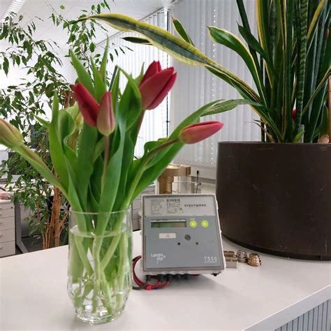 Danke Loredana Buboi Für Das Dankeschön Und Die Schönen Blumen Zum