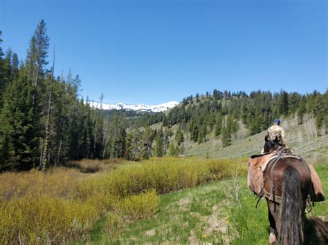 Adventures — Working Class Bowhunter