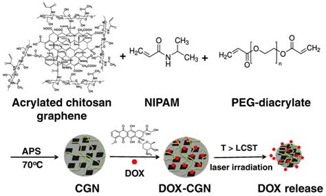 A Chitosan Modified Graphene Nanogel For Noninvasive Controlled Drug