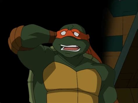 Tmnt 2003 Mikey By Hedwieapotter On Deviantart