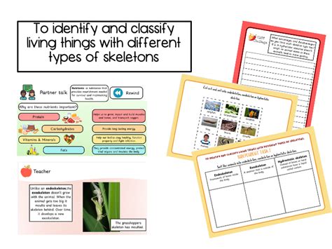 Year 3 To Identify And Classify Living Things With Different Types Of