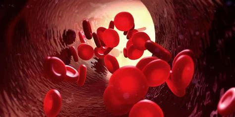 Understanding Diabetes Diabetes Symptoms Diabetes Management And