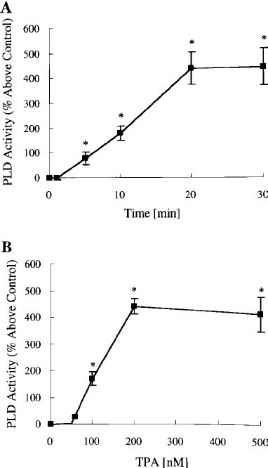12 O Tetradecanoylphorbol 13 Acetate Tpa Stimulates Pld In A Time
