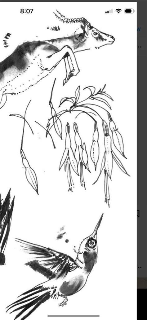 Bird Identification Chart Diy And Crafts Fabric Crafts Knitting And Crochet