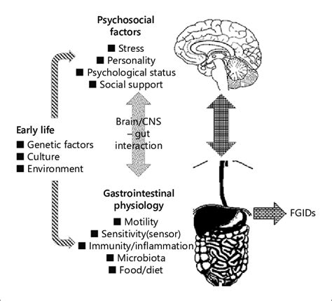Biopsychosocial Conceptual Model Of Fgids Gi Physiology And