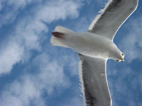 Just Passing Through Rpics