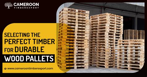 Selecting The Perfect Timber For Durable Wood Pallets