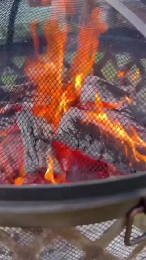 Can I Bounce It On Your Face 😍 Scrolller