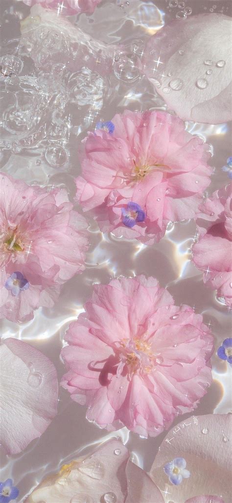 Pin By 🍒arin🍒 On Flower Pink Wallpaper Iphone Cute Flower