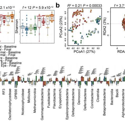 Patients With Dry Eye Have A Different Closed Eye Microbiome A