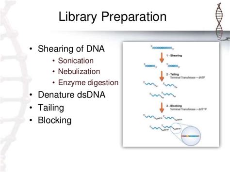 True Single Molecule Sequencing