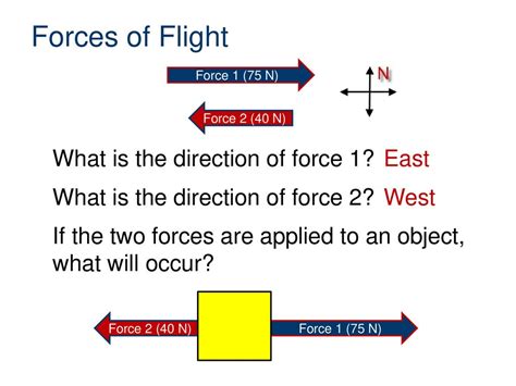 Forces Of Flight And Stability Ppt Download