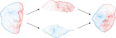 An Illustration Of The Proposed Free Boundary Conformal Download