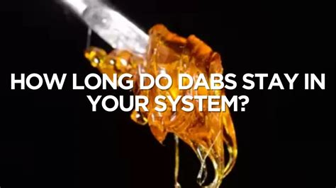 How Long Dabs Stay In Your System Budlyft