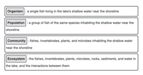 Ecosystems Flashcards Quizlet