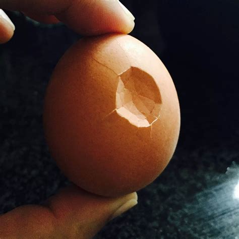 Went To Crack An Egg Imgur