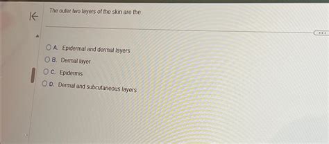 Solved The Outer Two Layers Of The Skin Are Thea