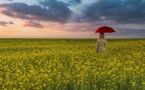 Sorg Og Krise Psykologi Psykiatri