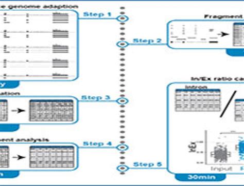 Full Length Rna Seq From Single Cells Using Smart Seq2 Rna Seq Blog