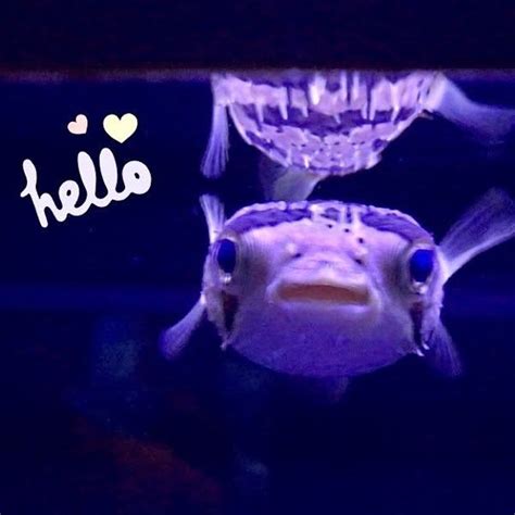 Akko Akikocona6811 On Threads