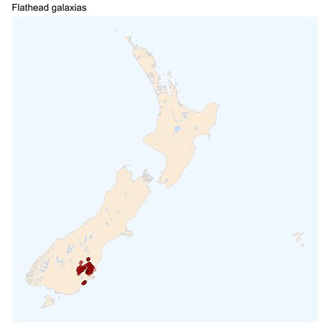 Flathead Galaxiasjpeg Earth Sciences New Zealand Niwa