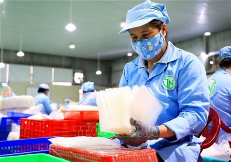 Công ty TNHH Tân Nhiên đẩy mạnh xuất khẩu đặc sản bánh tráng Tây Ninh Ảnh thời sự trong nước