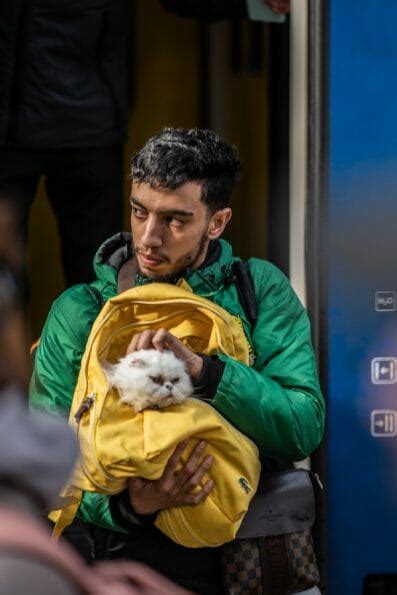 Answered Do Cats Like The Cat Bubble Backpack