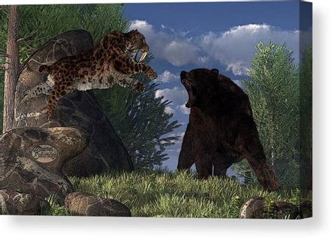 Saber Toothed Bear