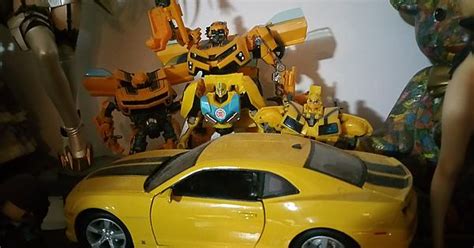 Bumblebeees Album On Imgur