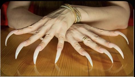 900 Best Long Nails Ideas In 2025 Nails Long Nails Nail Designs