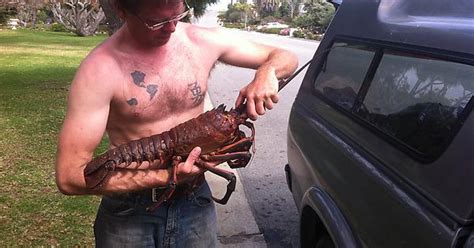 Big Bug Album On Imgur