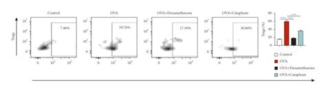 Sequential Flow Cytometric Gating In Tregs And Bregs And The Numbers Of