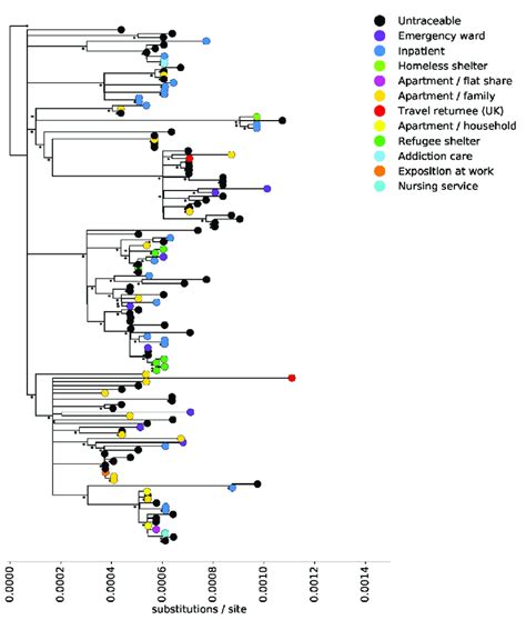 Phylogenetic Tree Of Sars Cov 2 Sequences Maximum Likelihood Tree