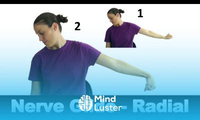 Learn Nerve Glide Radial Ask Doctor Jo Mind Luster