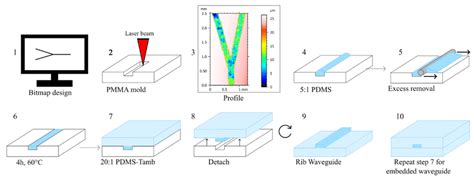 All Pdms Waveguides Fabrication Procedure As Described In The Text Download Scientific Diagram