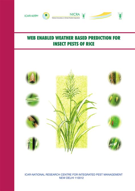 Pdf Web Enabled Weather Based Prediction For Insect Pests Of Rice
