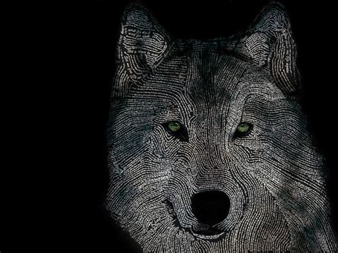Wolf Typography By Deprivedofsanity On Deviantart