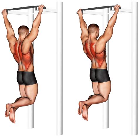 Scapular Pull Ups Strengthen Your Back And Improve Control Fitness Volt