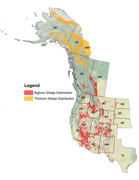 Wild Sheep Initiative Wafwa