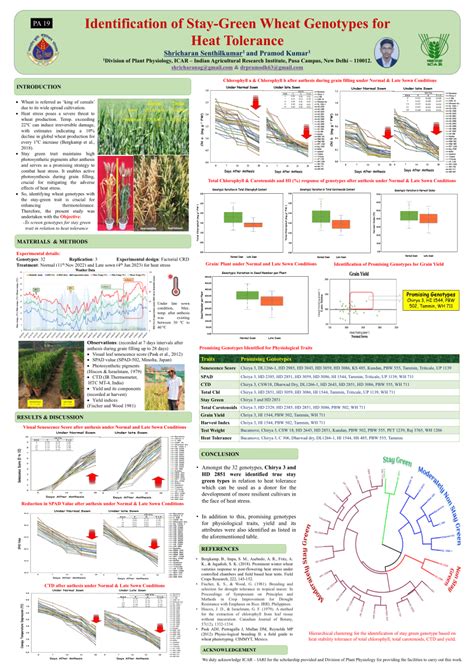 Pdf Identification Of Stay Green Wheat Genotypes For Heat Tolerance