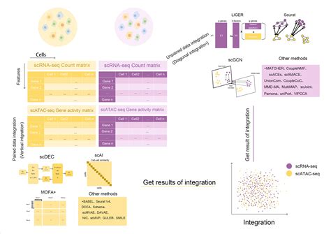A Comparison Of Integration Methods For Single‐cell Rna Sequencing Data